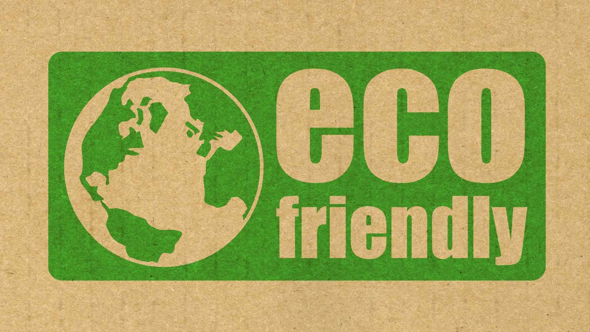 Why selling only "Earth-Friendly" products is important to us. - AnnMack